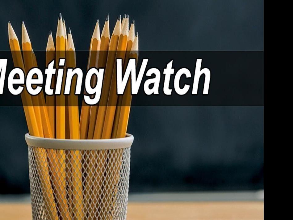 Hudson Star Observer: Hudson, WI