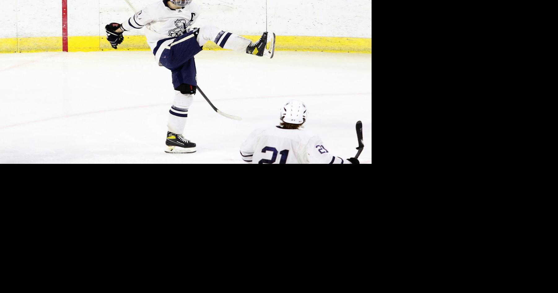 Boys hockey: Hudson dominates all-state picks; Somerset, New Richmond ...