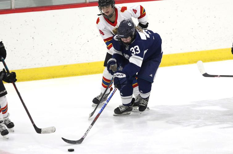 Girls Hockey: Fusion top Hudson for fifth straight BRC title (19 photos ...