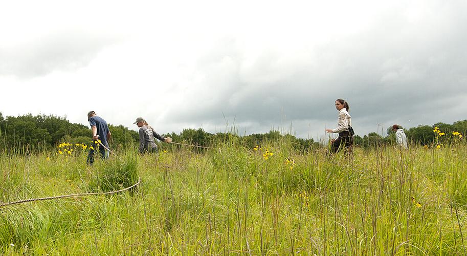 U.S. Fish and Wildlife Service summer interns wear many hats | Local ...