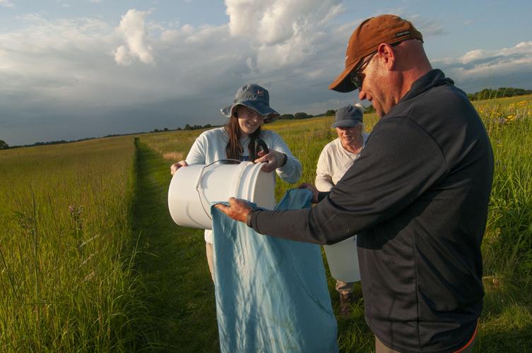On the prairie, seed collecting provides peace, purpose | Local News ...
