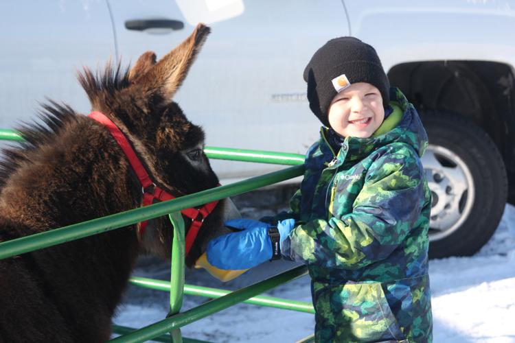 Weekend Planner: The holiday fun carries on | Local News ...
