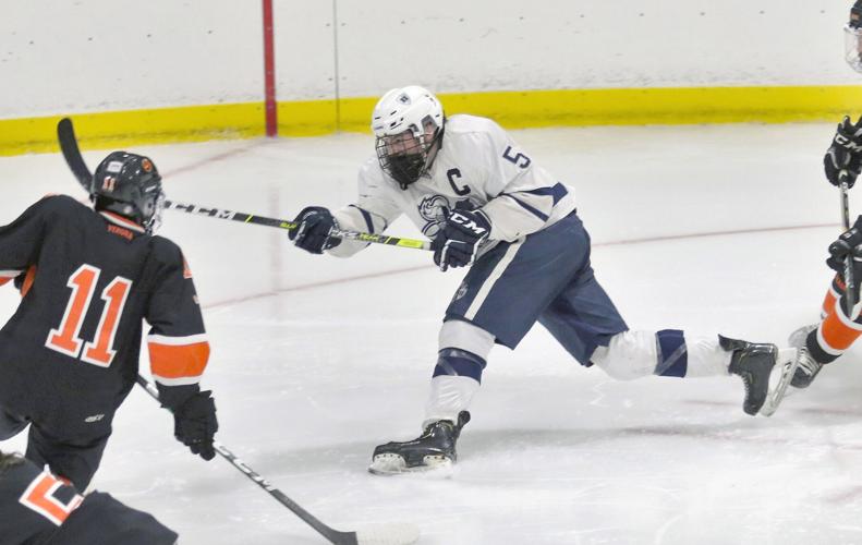 PHOTOS: Hudson boys hockey wins state title | Sports ...
