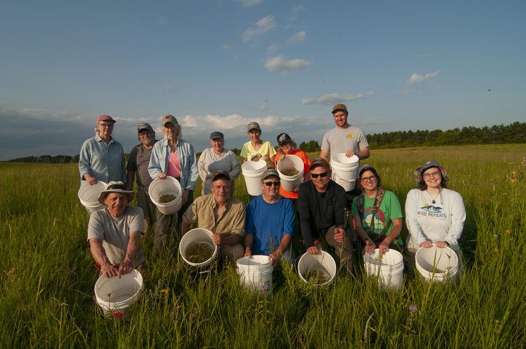 On the prairie, seed collecting provides peace, purpose | Local News ...