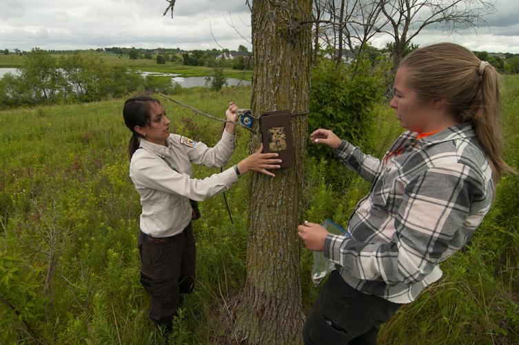U.S. Fish and Wildlife Service summer interns wear many hats | Local ...