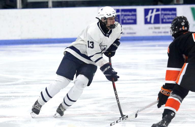 Boys Hockey: First-year players making an impact for Hudson (10 photos ...