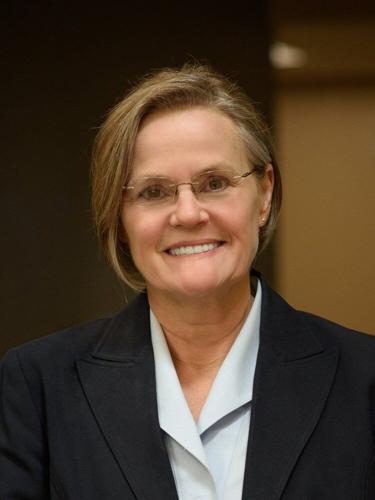 Introducing state Assembly candidates | Local News | hudsonstarobserver.com