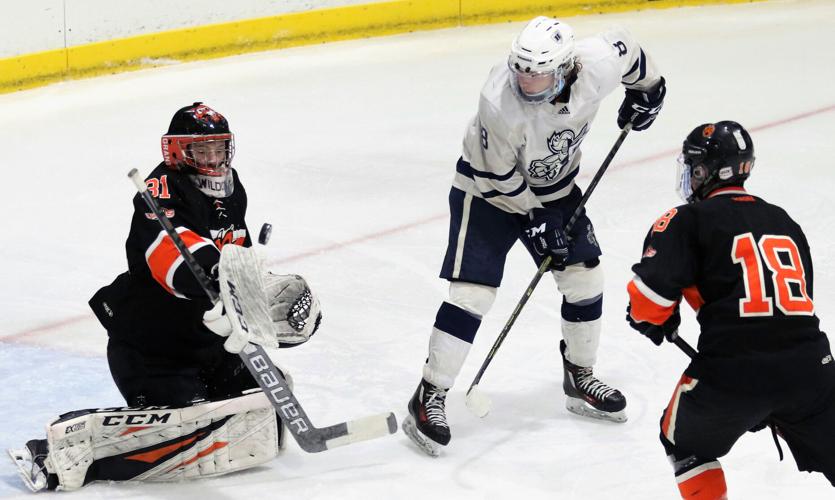 PHOTOS: Hudson boys hockey wins state title | Sports ...