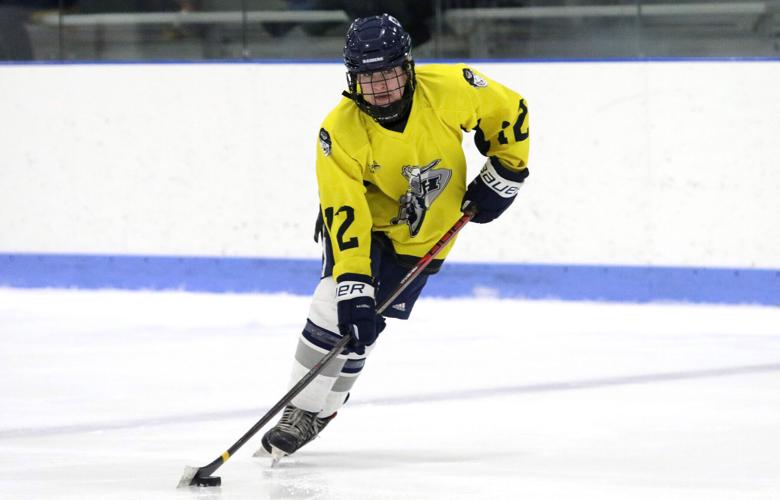Girls Hockey: Hudson drops close one to No. 2 Superior (6 photo ...