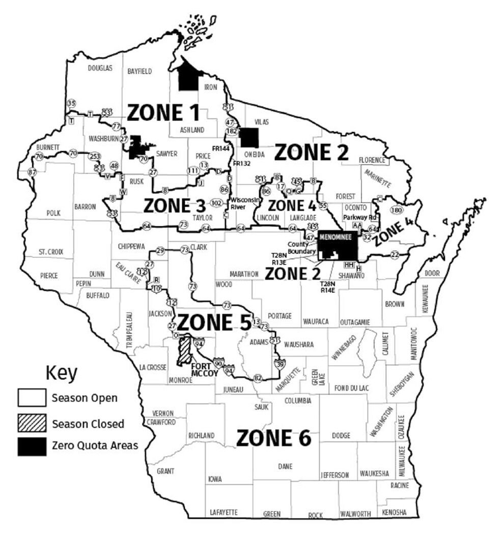 Balancing the gray wolf population in Wisconsin | Local News ...