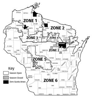 Balancing the gray wolf population in Wisconsin | Local News ...