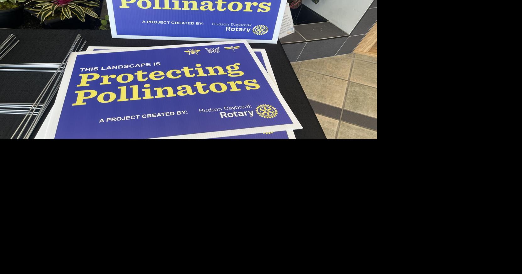 In Hudson, how ‘No Mow May’ turned into 'Slow Mow Summer' | Local News ...