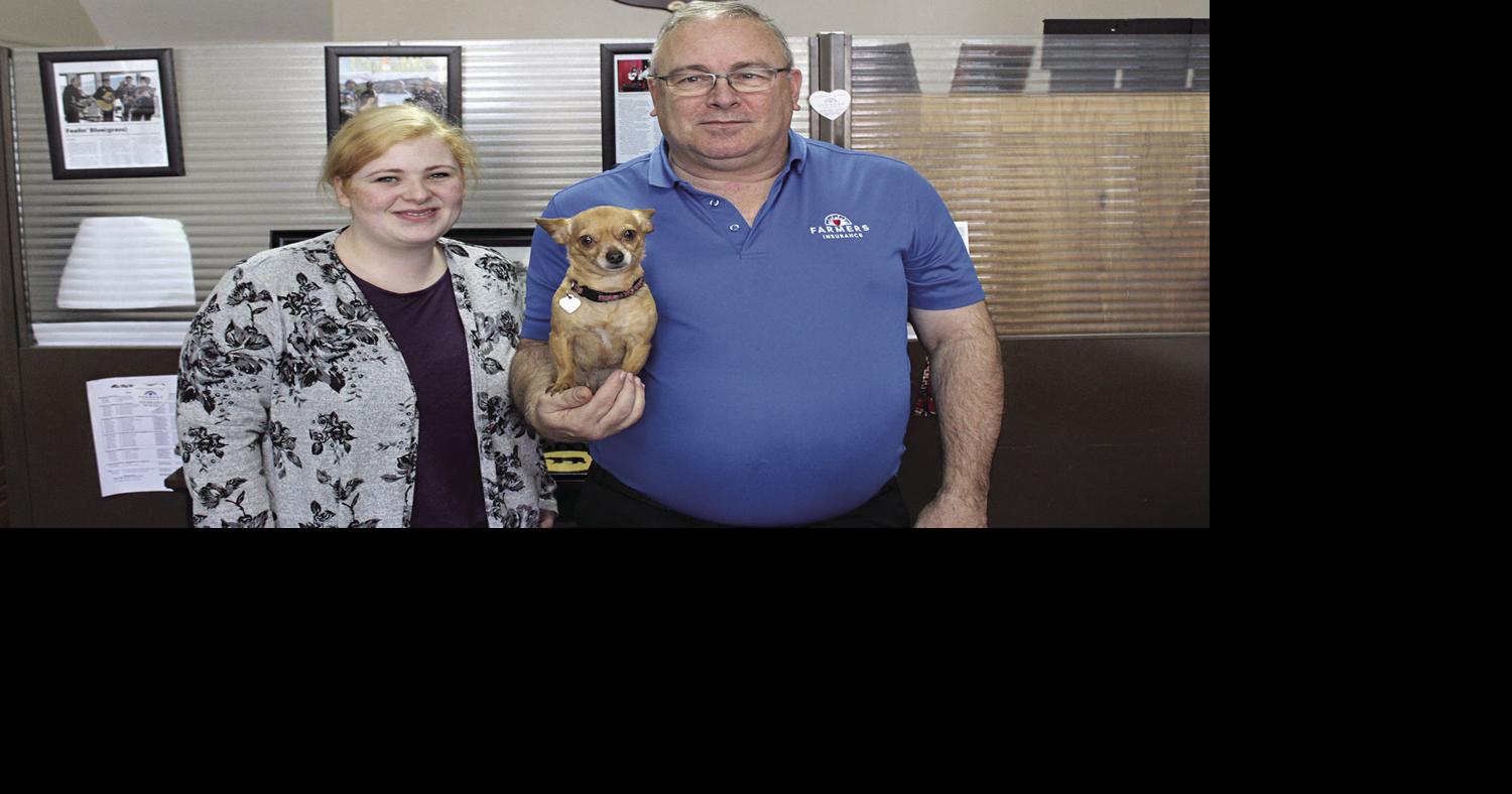 Randy Berg Agency | Get-acquainted | idahocountyfreepress.com