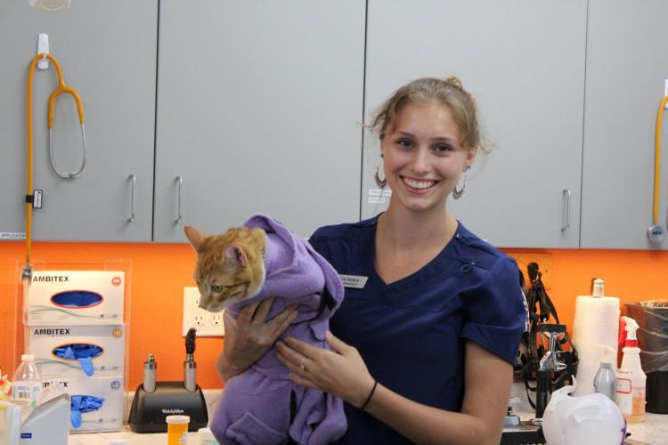 Tolo Veterinary Clinic hosts open house | Community ...