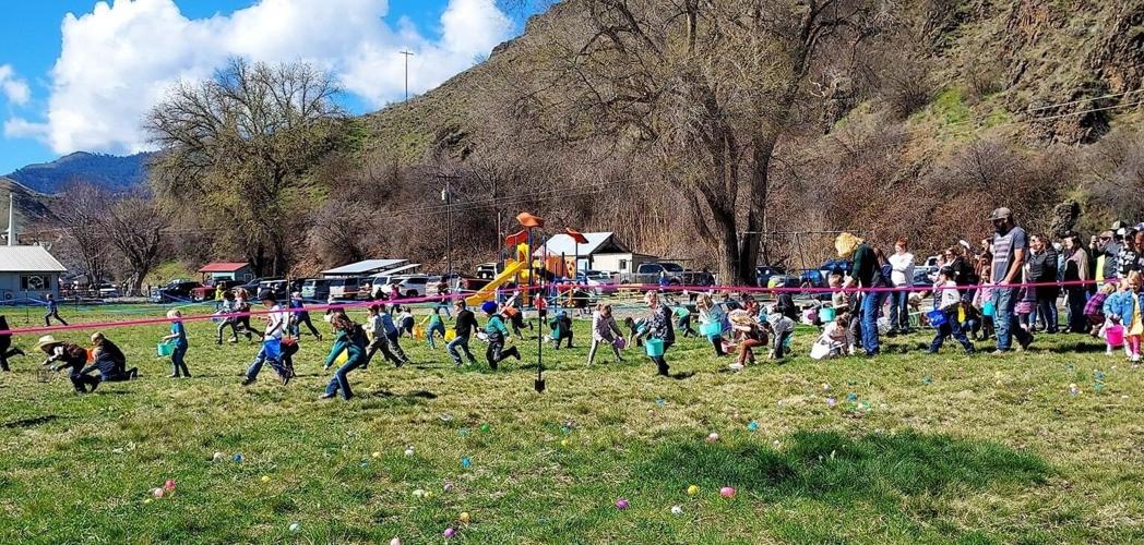 White Bird News: Bingo continues at the Silver Dollar Bar; wine tasting ...