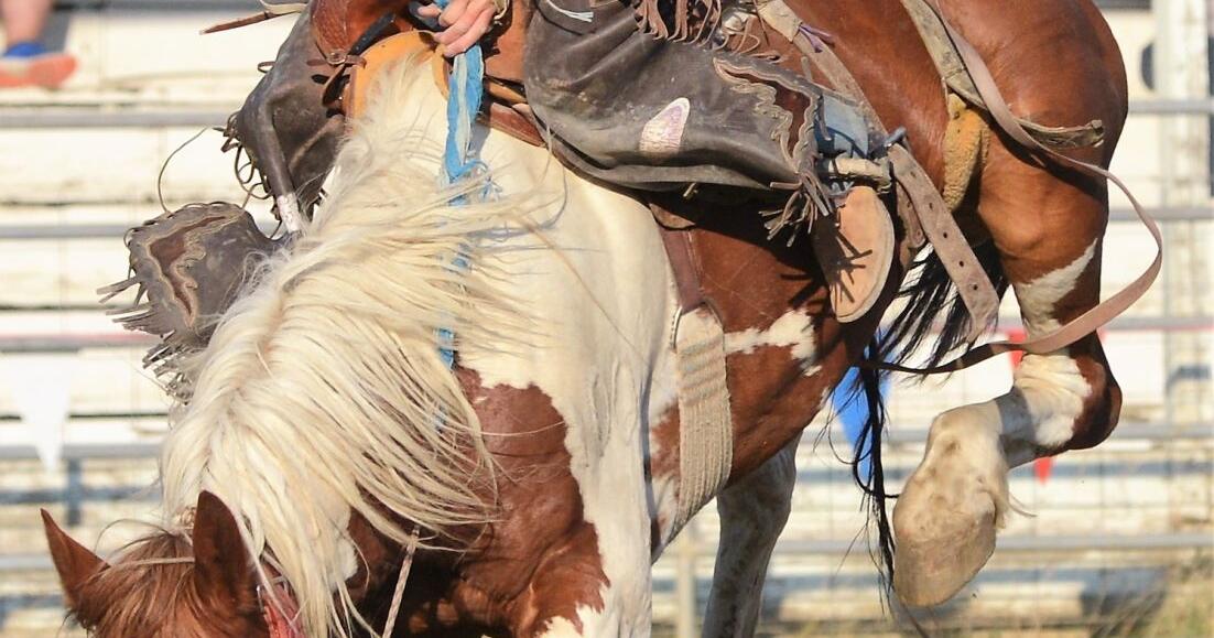 Border Days Rodeo ready to rumble | Grangeville News ...