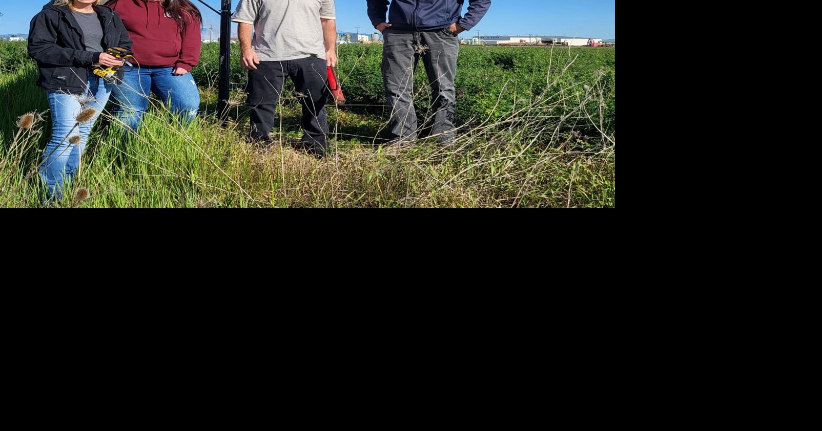 Crop Signs Are Out! | Community | idahocountyfreepress.com