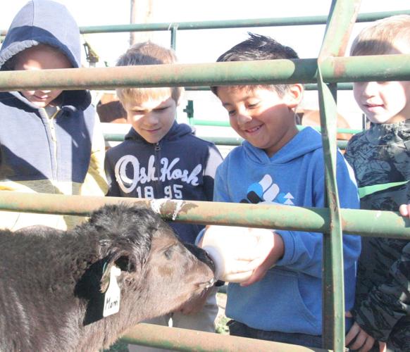 SPPS Farm Tour | Community | idahocountyfreepress.com