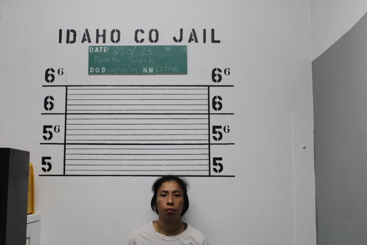 Crime Briefs: | Local News | idahocountyfreepress.com