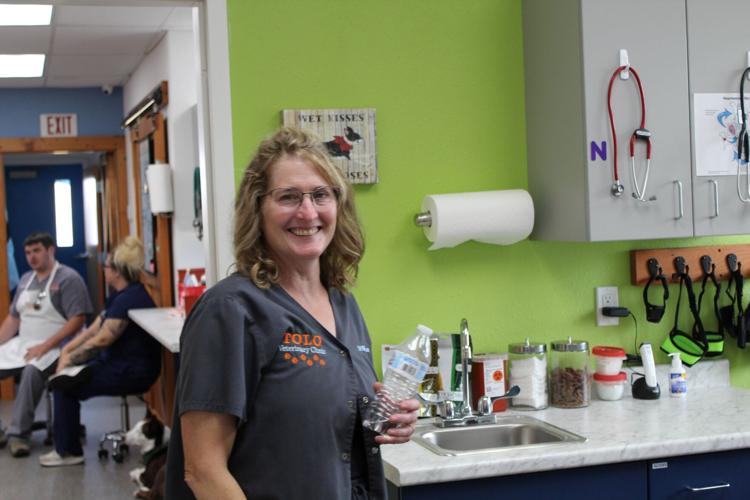 Tolo Veterinary Clinic hosts open house | Community ...