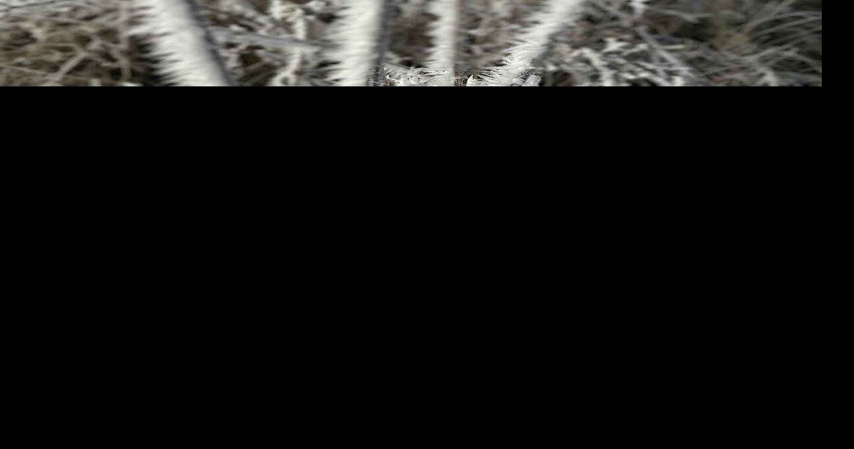 Frost In The Fog | Community | idahocountyfreepress.com