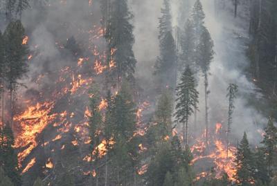 Nez Perce-Clearwater National Forest prescribed burns | News ...
