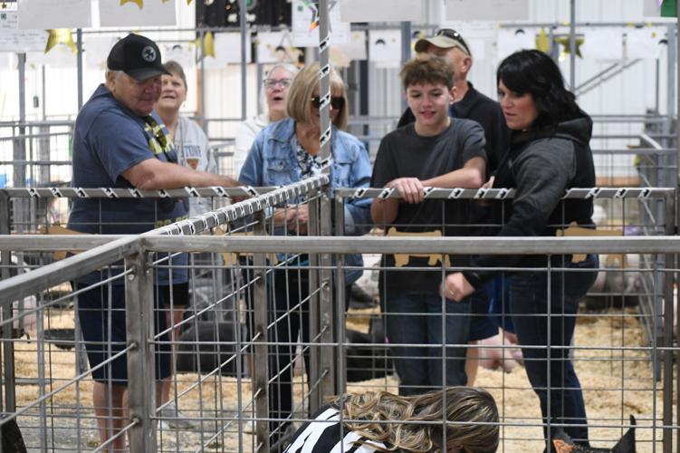 2025 Lewis County Fair, Sept. 25-28: results | News ...