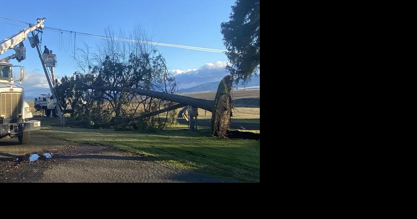 Rare weather setup brings powerful windstorm | News ...