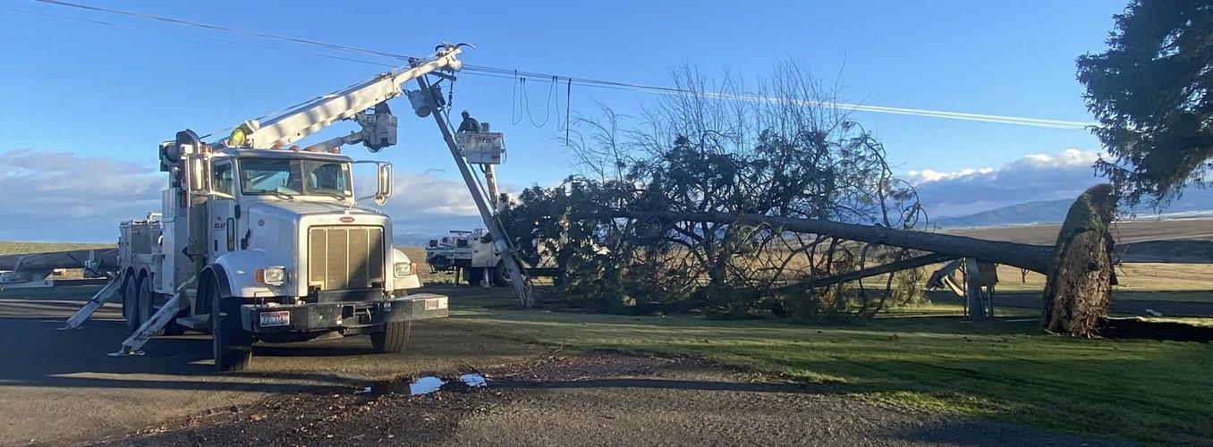 Rare weather setup brings powerful windstorm | News ...