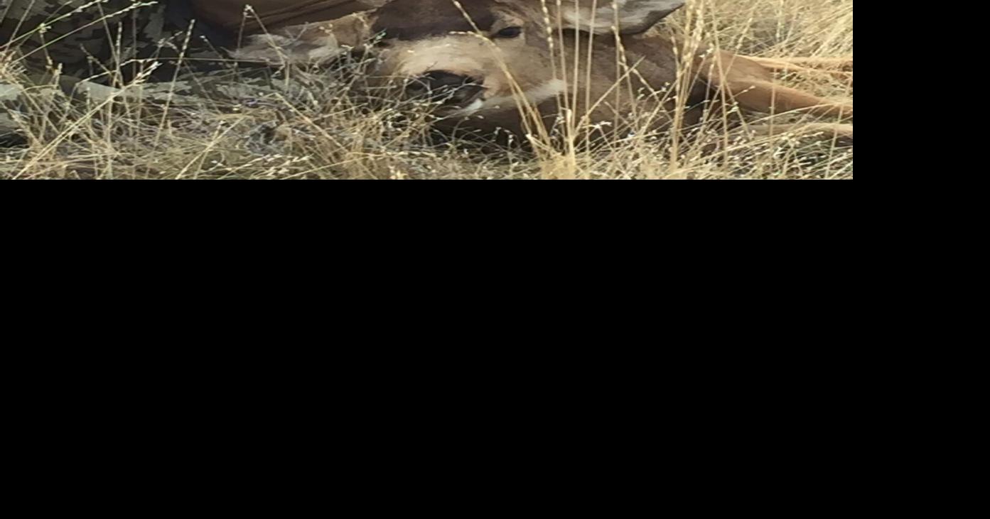 Craig Alan Carnes, 69 | Obituaries | idahocountyfreepress.com