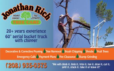 Get Acquainted Spotlight: Jonathan Rich Tree Care | Get-acquainted ...