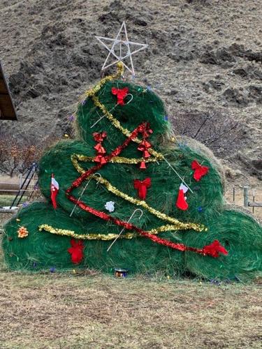 A Christmas tree made of hay | News | idahocountyfreepress.com