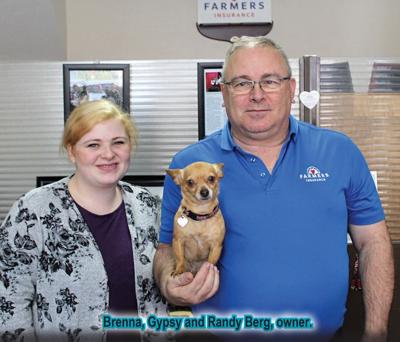 Randy Berg Agency | Get-acquainted | idahocountyfreepress.com