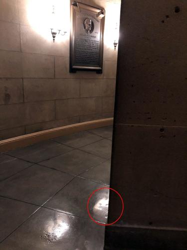 Legend of demon cat of U.S. Capitol | News | idahocountyfreepress.com