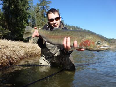 Salmon, steelhead dwarf your average trout | News ...
