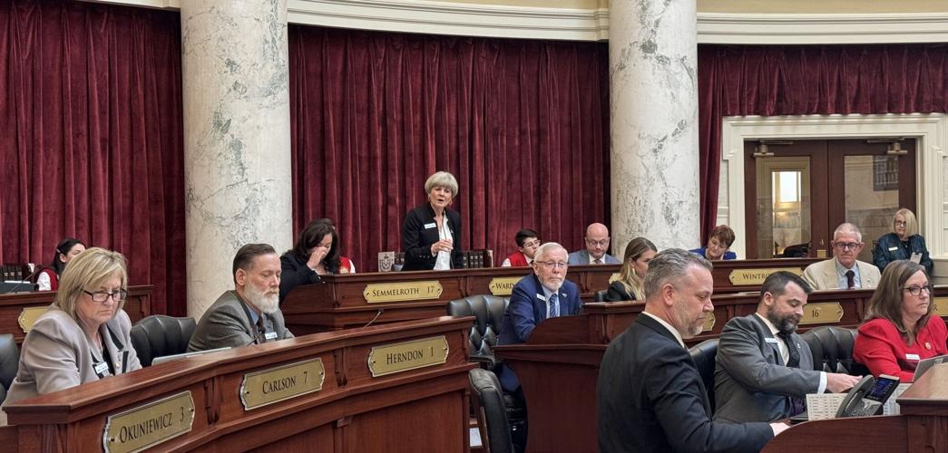 ‘Nail-biting’ defeat of ‘obscene materials in libraries’ bill | News ...