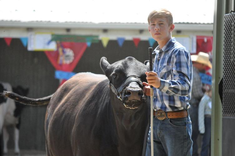 4-H, FFA livestock sale raises $410K | News | idahocountyfreepress.com