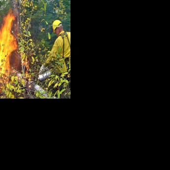 Fall prescribed fire planned on the Nez Perce-Clearwater National ...