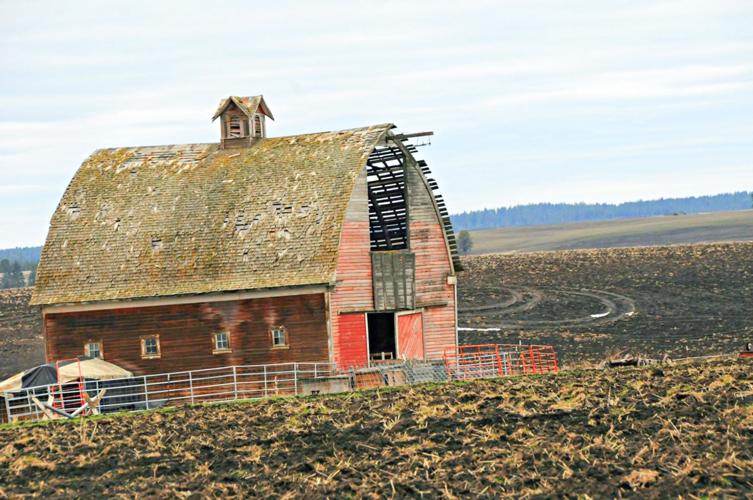 Barns: The fabric of Idaho history; ‘Barns of Idaho’ available on IPTV ...