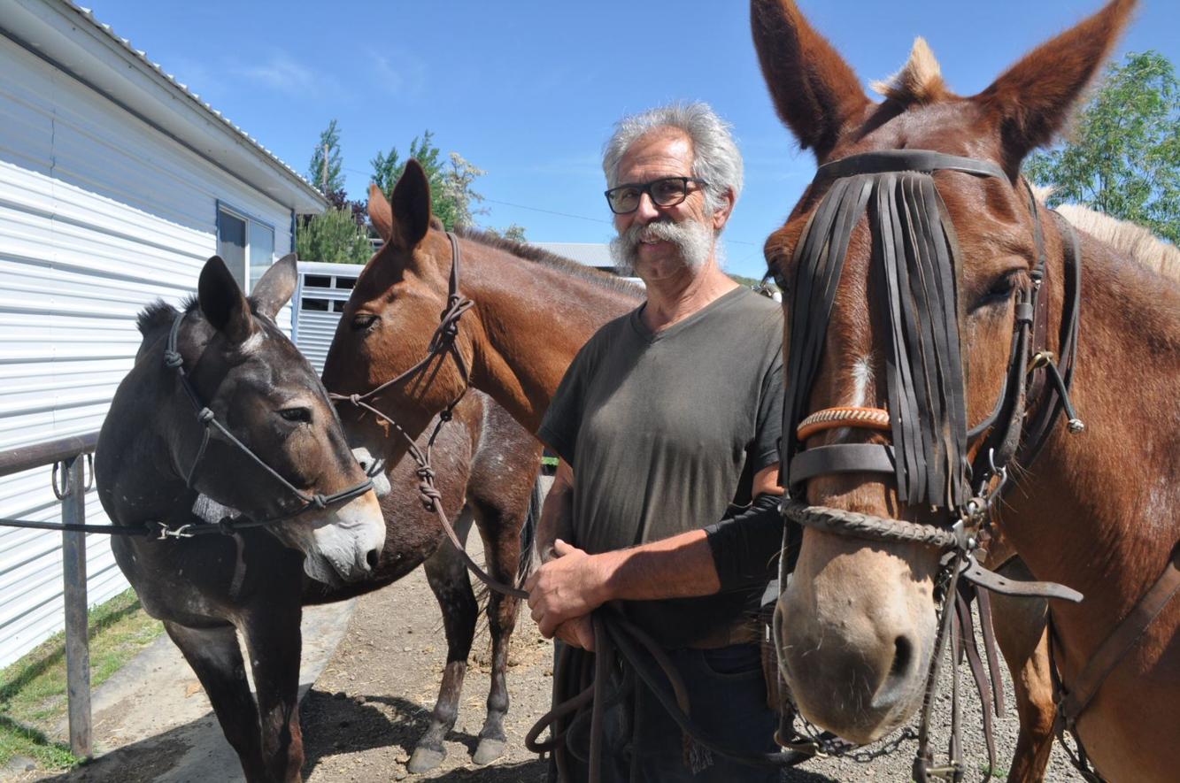 Brager, resident of France, prepares his new mules for two-year trip ...