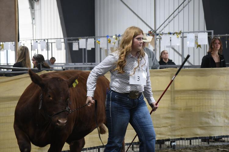 2025 Lewis County Fair, Sept. 25-28: results | News ...