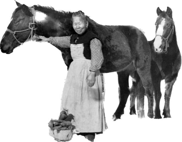 Lost apples: Polly Bemis variety discovered on famous Idaho County ...