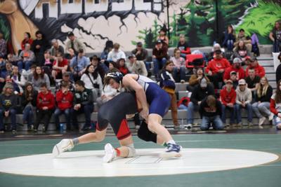 Bulldog, Ram, Pirate wrestlers head to state | Sports ...