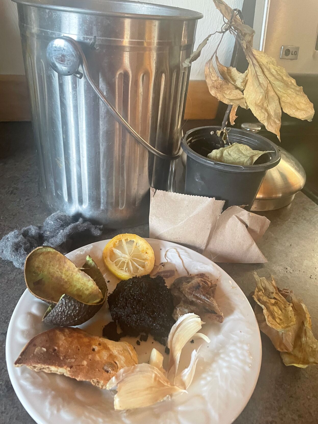 Garden Clippings: Winter composting is simple | Local News ...