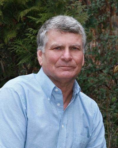 Riggins City Council: Stibnite local representative appointed for 2024 ...