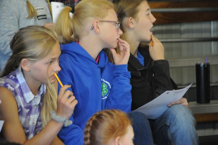 Idaho County 4-H Spring Livestock Show | News | idahocountyfreepress.com