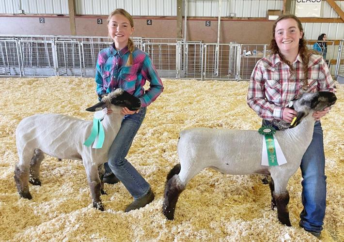 4-H Spring Livestock Show brings in the beef (and more!) | Community ...