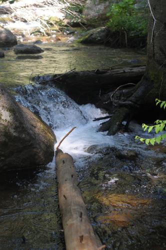 Rocky Bluff Campground Offers Beautiful Hike | Outdoors ...