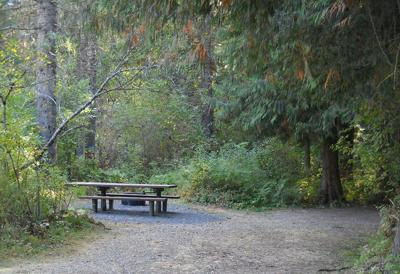 Volunteer hosts positions open at area USFS campgrounds | Community ...