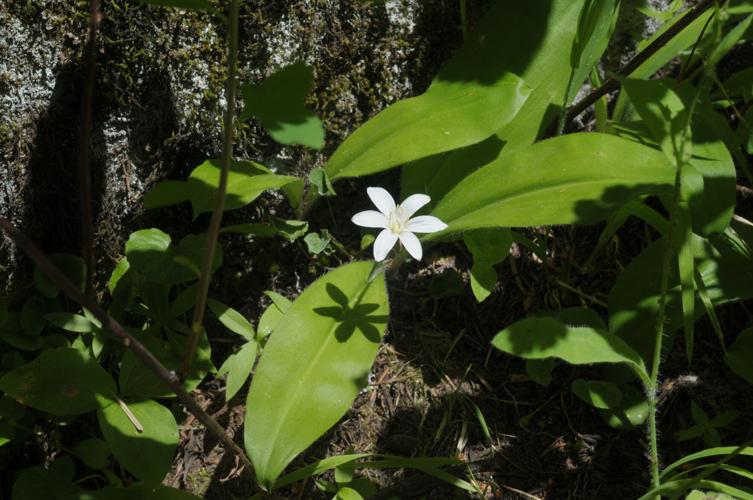 Rocky Bluff Campground Offers Beautiful Hike | Outdoors ...